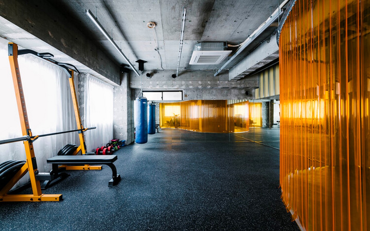 CELL Gym A Holistic Approach to Fitness - thedesign
