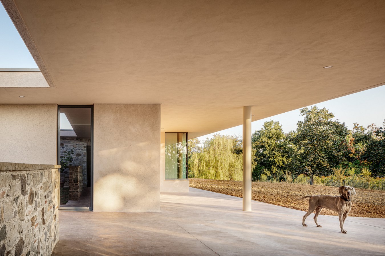 Exploring Patio House A Study in Spatial Harmony - thedesign